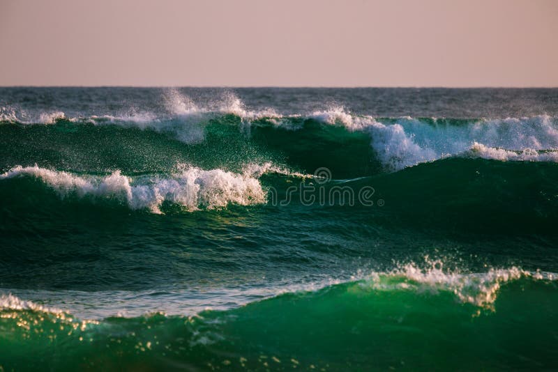 Green waves stock image. Image of tropical, swell, breaking - 99226677