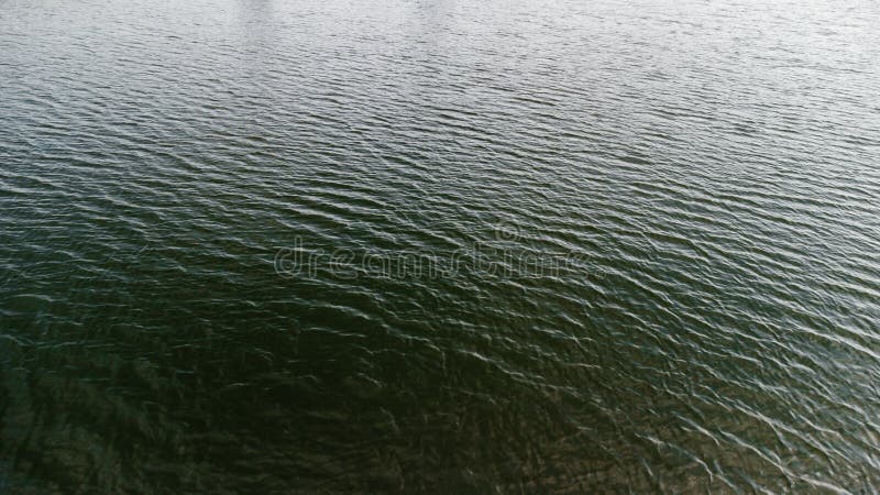 Green Waves of a Restless Lake Stock Image - Image of beach, abstract ...