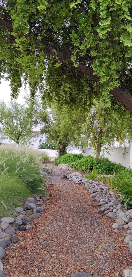 The Green Way of heven stock image. Image of tree, grass - 254291919