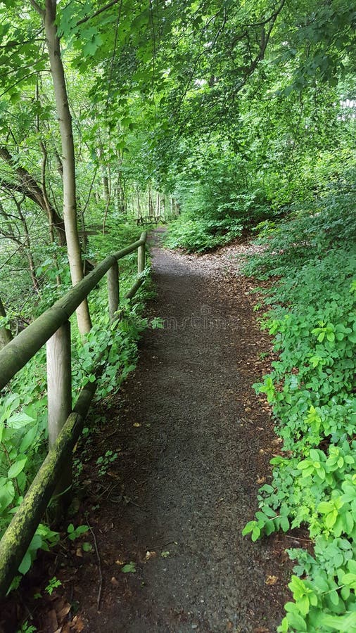 Green Way stock photo. Image of green, bridge, outdoor - 73952836