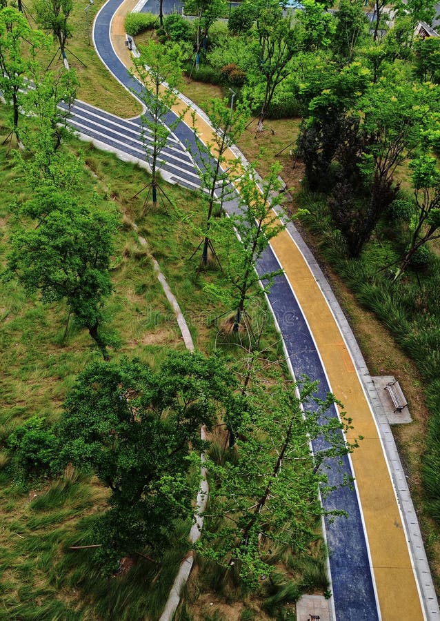 Green ways stock image. Image of bird, middle, green - 321017407