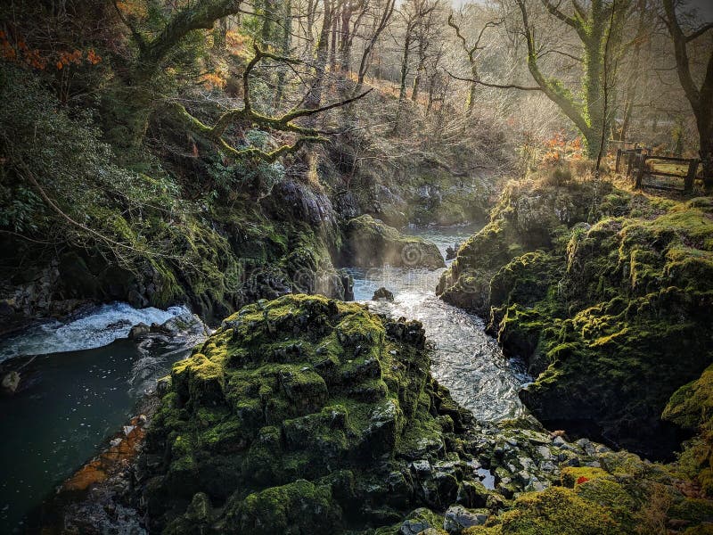 Green Welsh Stream in Sunlight Stock Photo - Image of river, light ...
