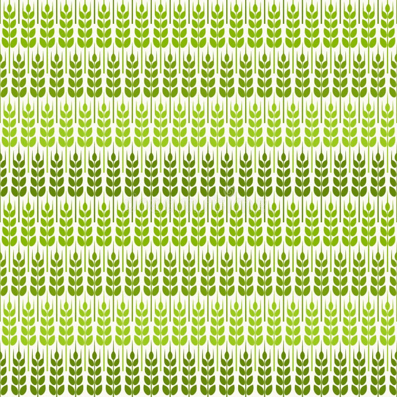 Green Wheat Seamless Pattern Stock Vector - Illustration of organic ...