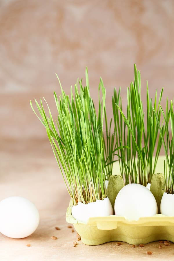 Green Wheat Sprouts. Easter Decorations. Easter Egg. Spring Composition ...