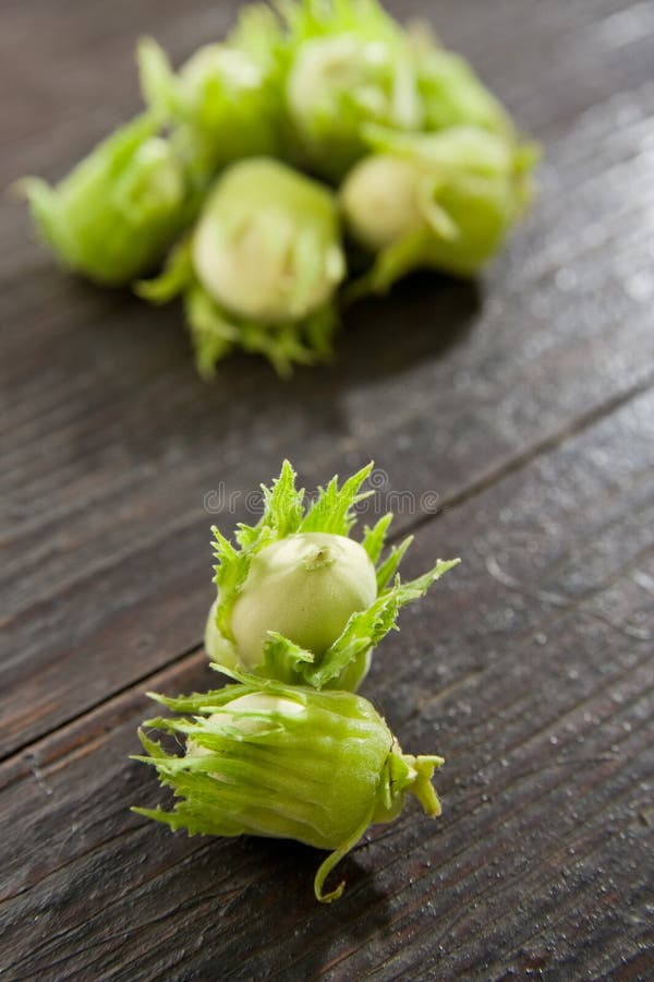 Green whole hazelnuts stock image. Image of nature, seed - 18115373