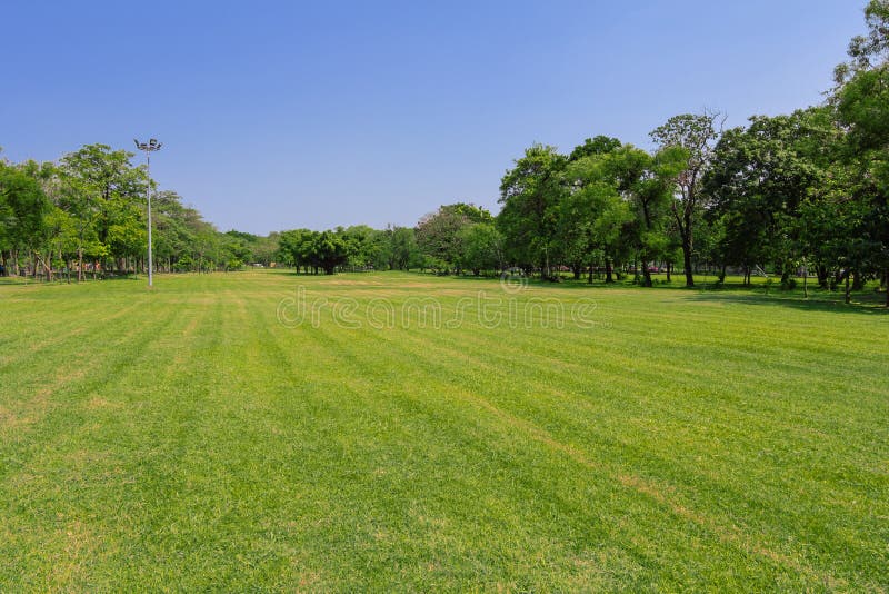 The Lawn in the Park Looks Beautiful in the Morning. Stock Photo ...