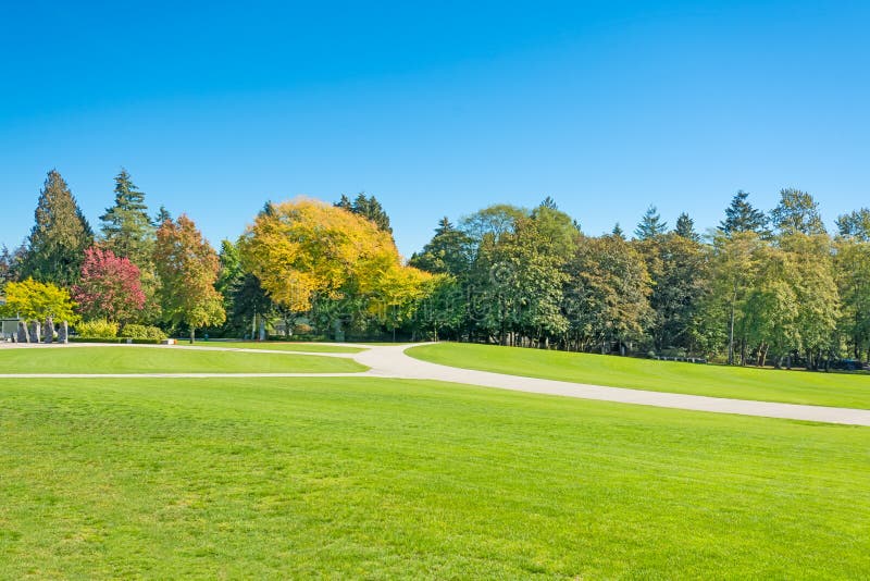 Green Wide Open Meadow in a Park with Trees Stock Photo - Image of ...