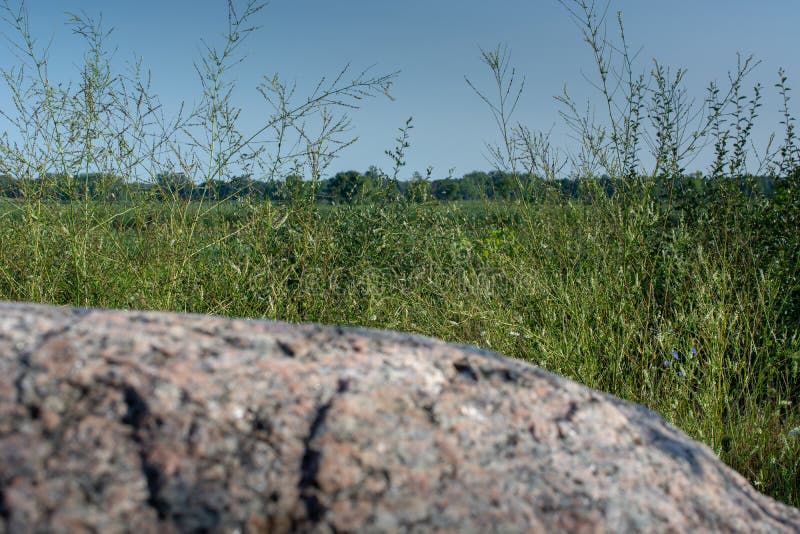 Large Rock in Green Wild Field with Bushes Stock Image - Image of plant ...