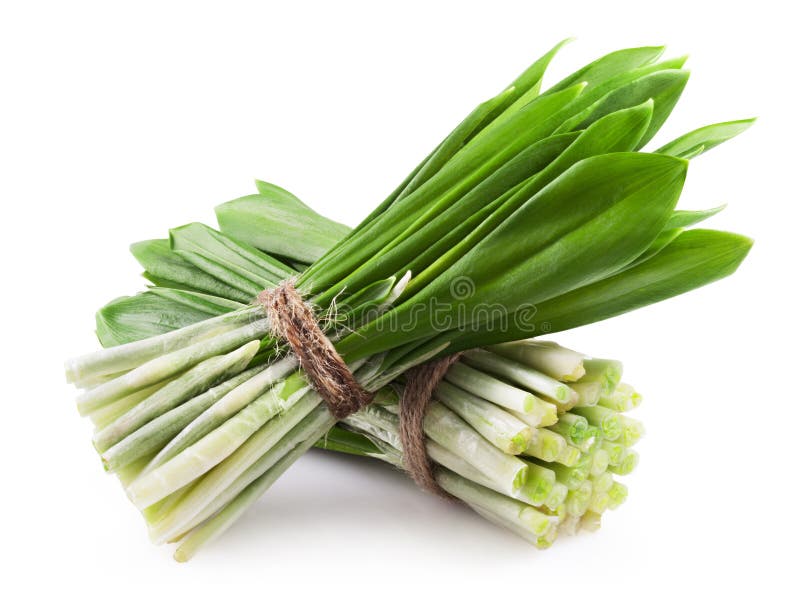 Green wild garlic stock image. Image of background, organic - 52529049