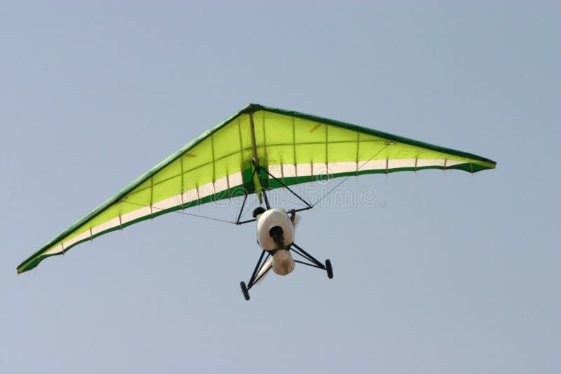 Green wings stock photo. Image of season, flying, summer - 1236580