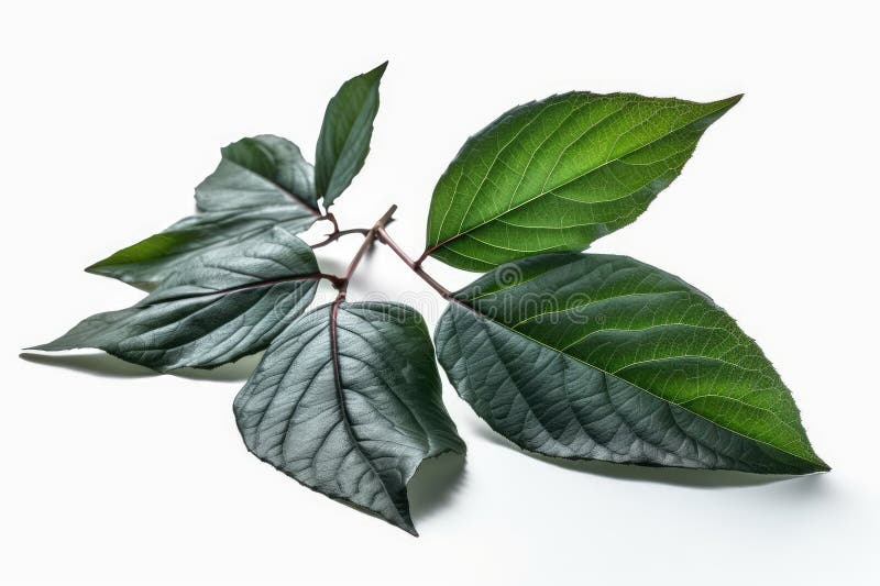 Harshest Stock Illustrations – 18 Harshest Stock Illustrations, Vectors ...