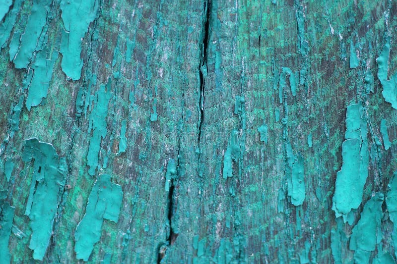 Wood Texture from a Worn Old Board with Chunks of Paint Stock Image ...
