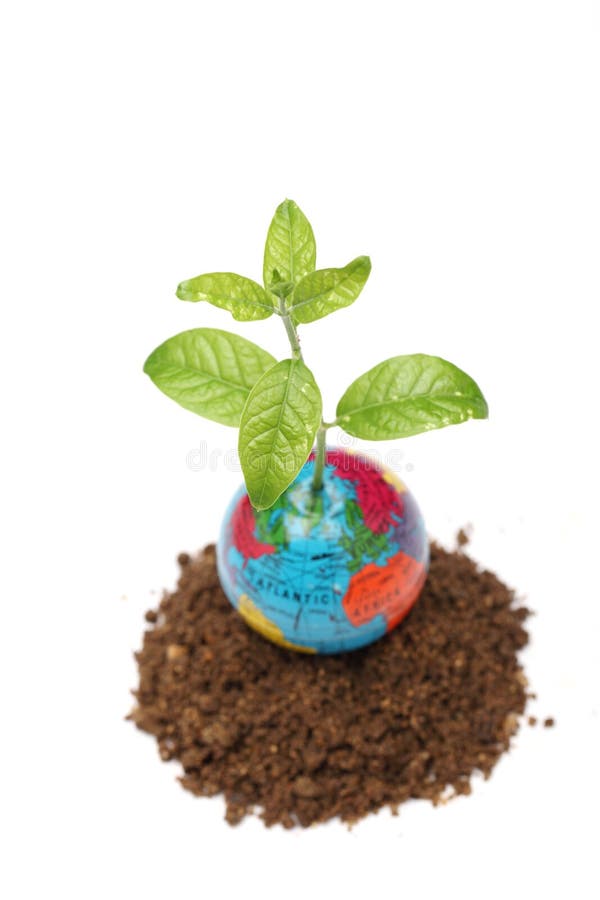 Green world stock image. Image of life, business, natural - 24857963