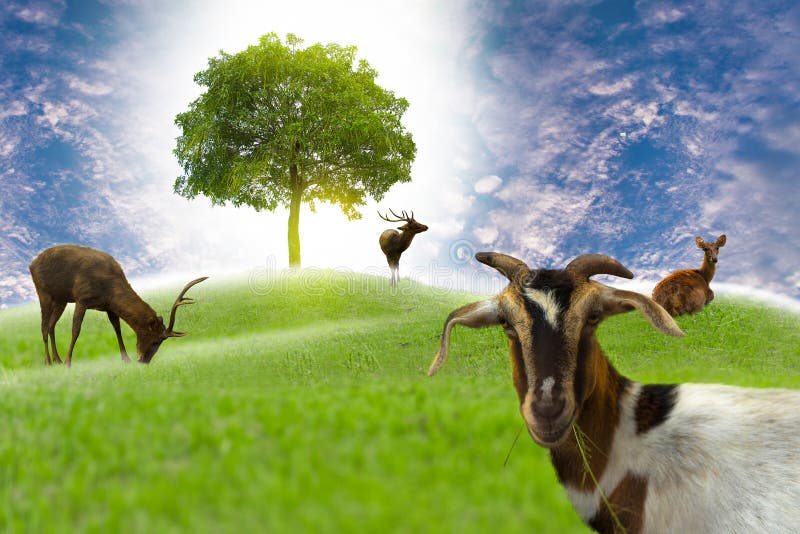 Green World with Animals and Big Trees Love the World Stock Image ...