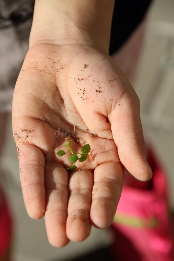 Green world stock image. Image of life, growing, nature - 46835655