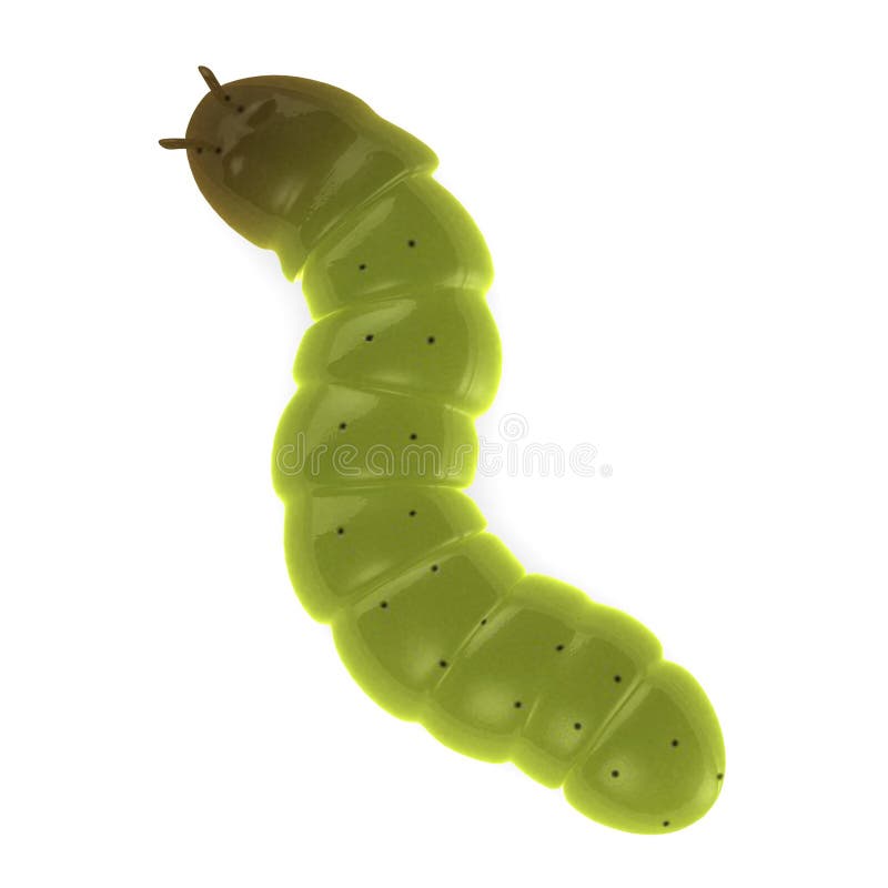 Green worm insect stock illustration. Illustration of soil - 23824249