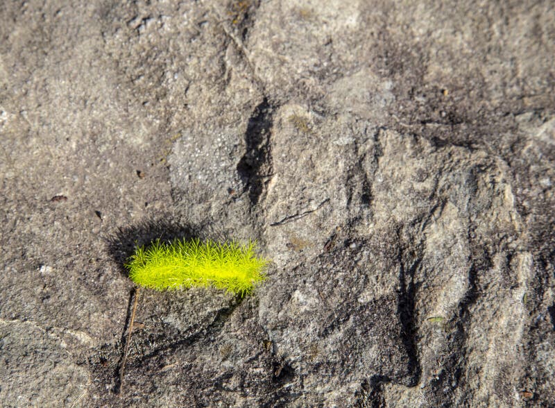 Machu Picchu in Peru - Lost City of Inca Stock Image - Image of cusco ...