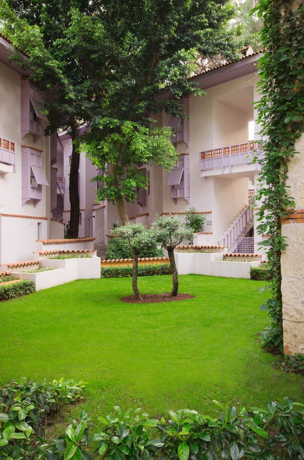 Green yard stock image. Image of leaf, plant, copy, house - 25206973