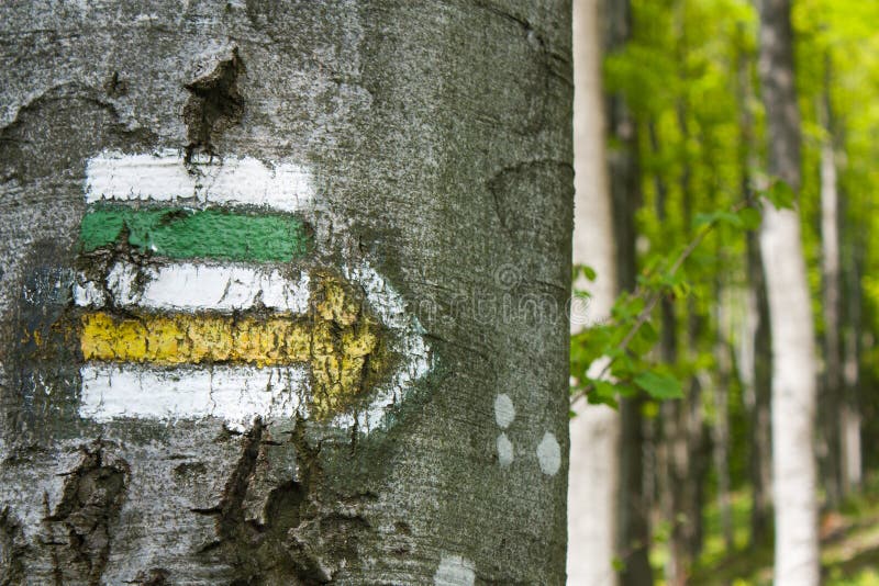 Hiking Trail Signs Symbols in Springtime on Tree Stock Image - Image of ...