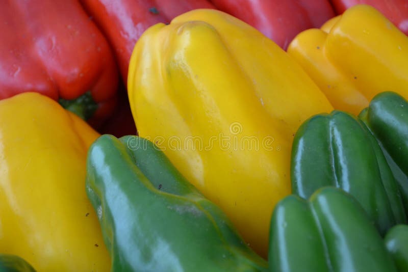 Peppers. Colors stock image. Image of real, green, peppers - 117644347