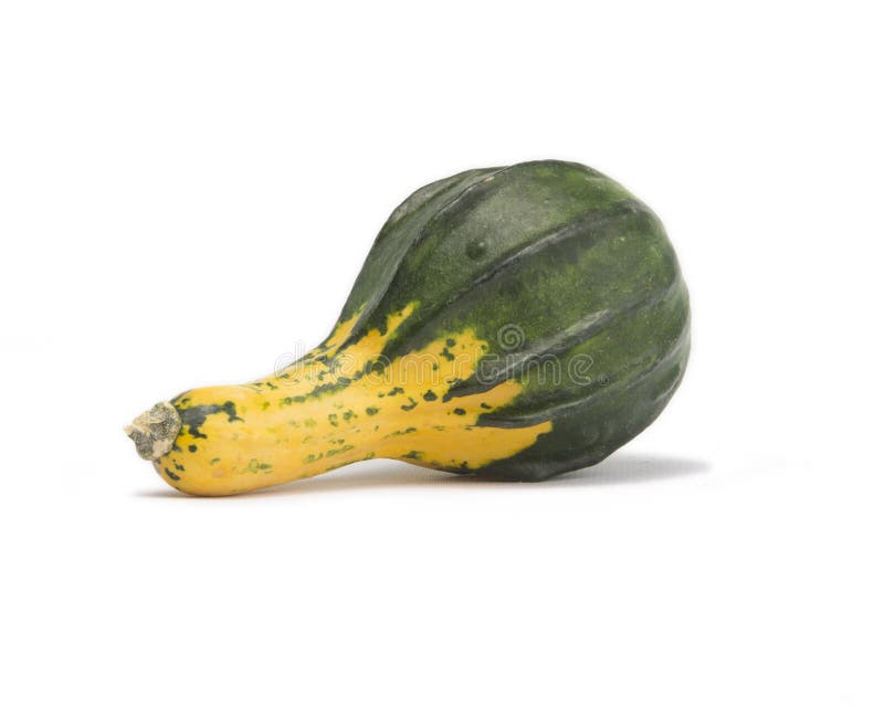 Green and Yellow Squash Isolated on White Background Stock Photo ...