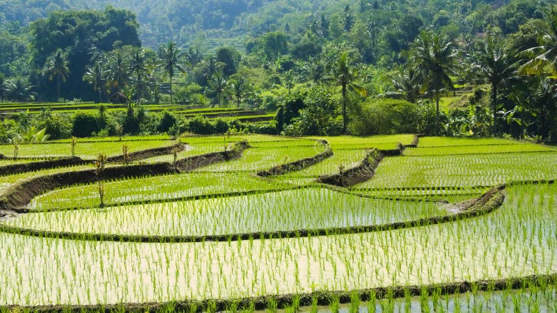 Create Across Regions Globe Stock Photos - Free & Royalty-Free Stock ...