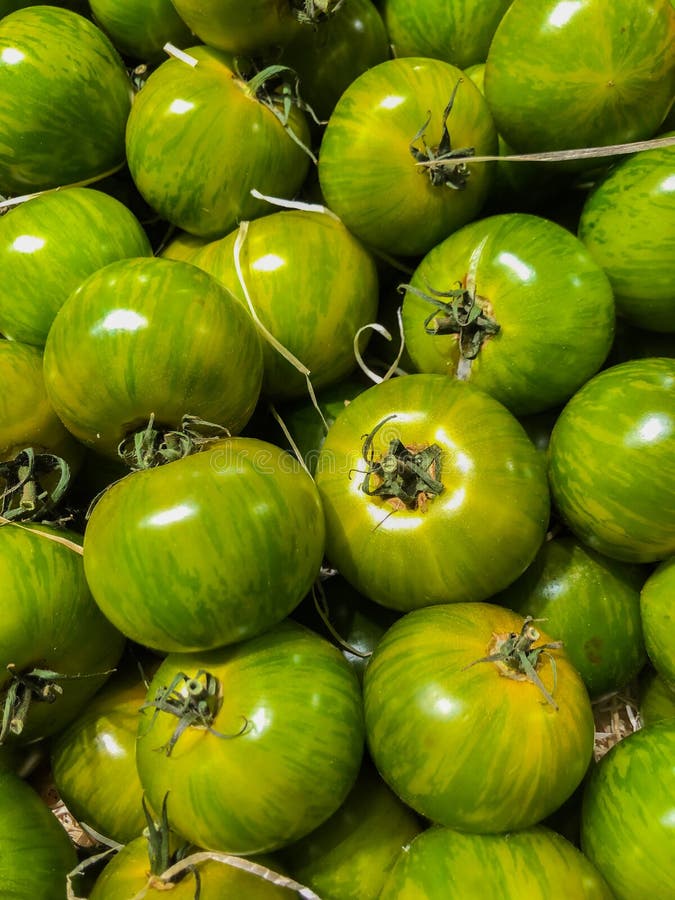 Green Zebra Tomatoes on Display. Stock Image - Image of cherry, market ...