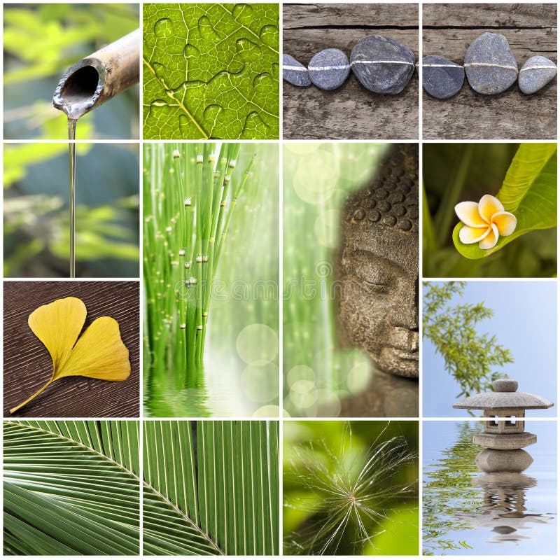 Green zen asia collage stock image. Image of asia, nature - 47316955