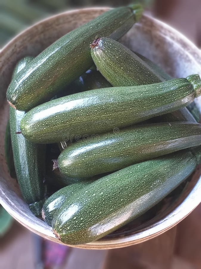 Green zucchini stock image. Image of beauty, squash - 139193397