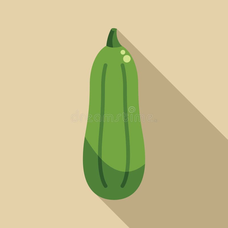 Green Zucchini Squash Growing in Garden Illustration Stock Vector ...