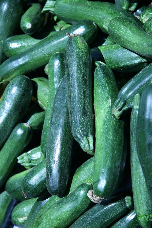 Green Zucchinis stock photo. Image of food, courgette - 2589122