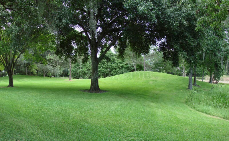 Greenery stock photo. Image of botany, green, outdoors - 2866216