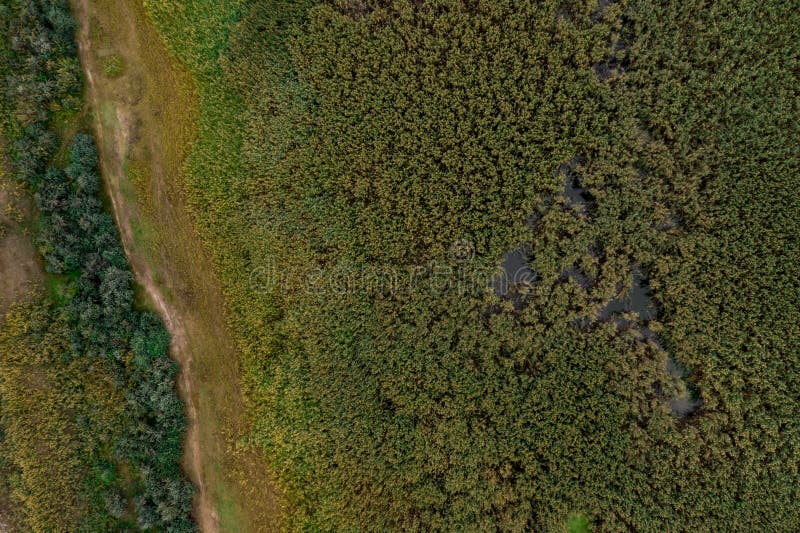 Coastal Landscape Top View Map Stock Photos - Free & Royalty-Free Stock ...