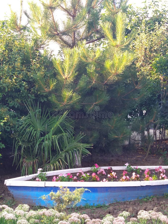 Greenery of the boat stock image. Image of morning, summer - 252154083