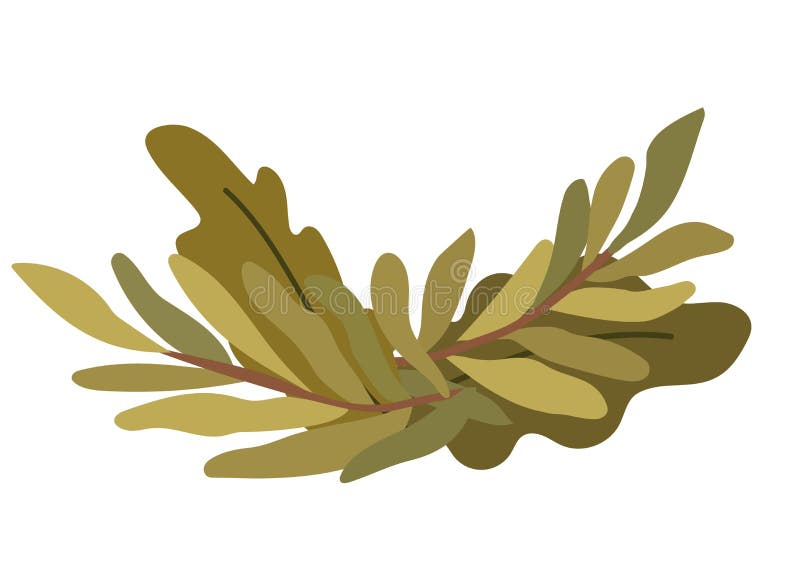 Greenery Composition for Greeting Cards, Backgrounds and Dividers. Hand ...