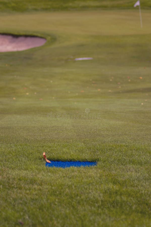 Greenery Field with Fallen Leaves Stock Image - Image of growth ...