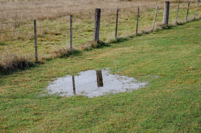 Greenery field with puddle stock photo. Image of tourism - 264027470