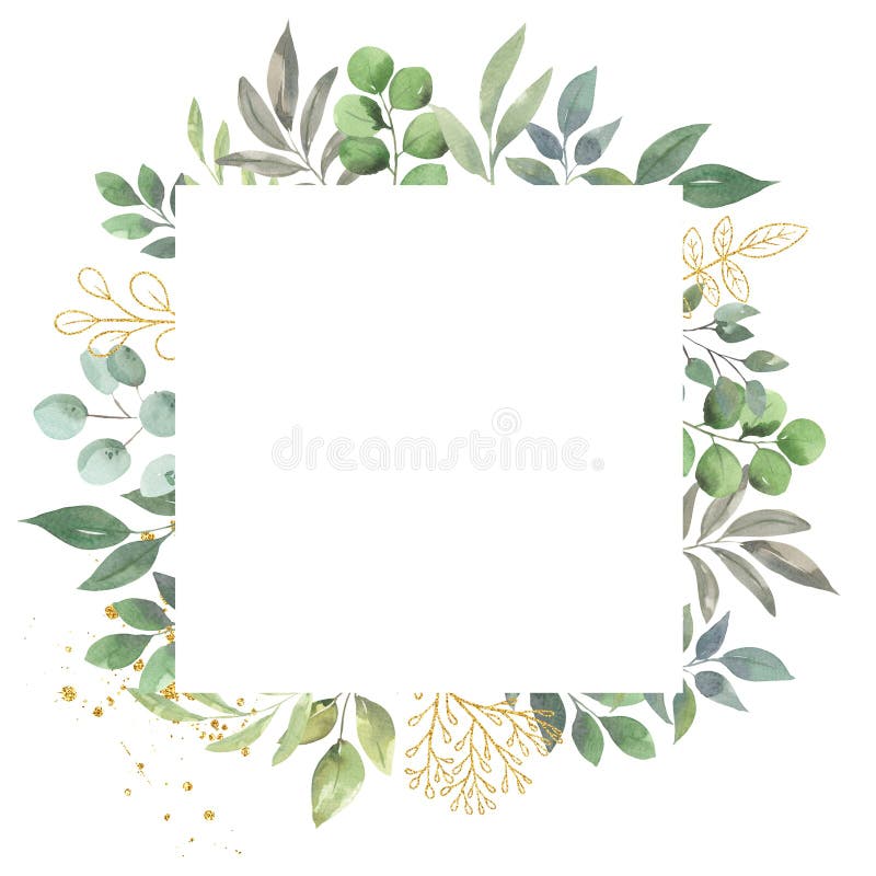 Greenery Frames Square Eucalyptus Leaves Leaf Border Gold Foliage Stock ...