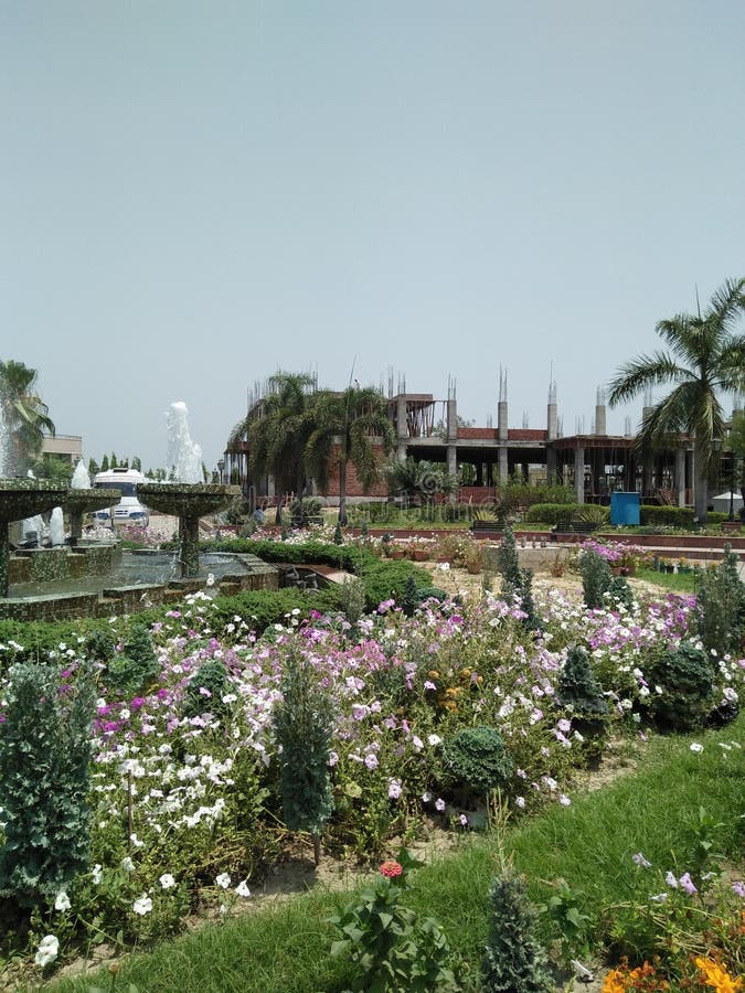 Bagicha Flowers Stock Photos - Free & Royalty-Free Stock Photos from ...