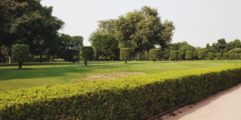 Greenery stock photo. Image of green, trees, plants - 140510866