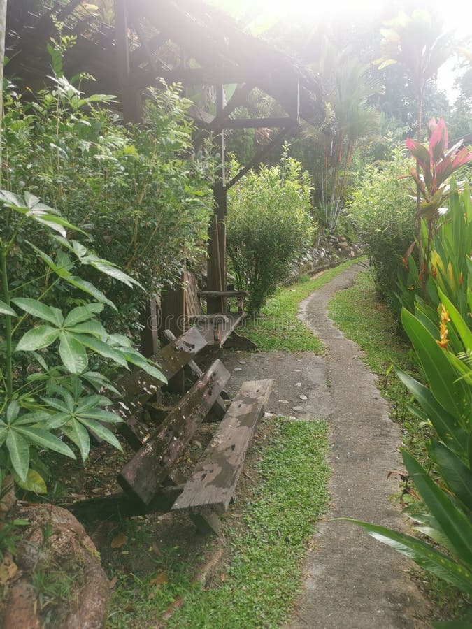 Greenery Garden Walk Path Way To the Park Stock Photo - Image of lawn ...