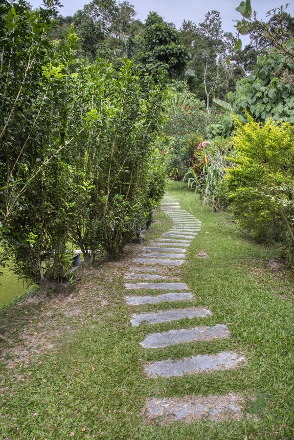 Greenery Garden Walk Path Way To the Park Stock Image - Image of ...