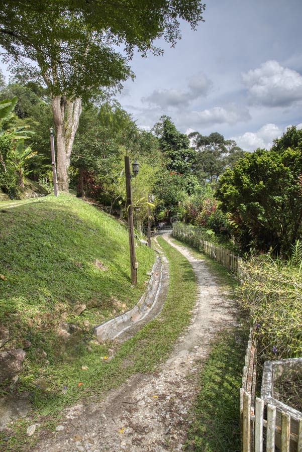Greenery Garden Walk Path Way To the Park Stock Photo - Image of park ...