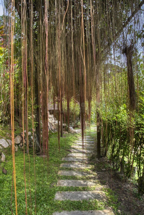 Greenery Garden Walk Path Way To the Park Stock Photo - Image of ...