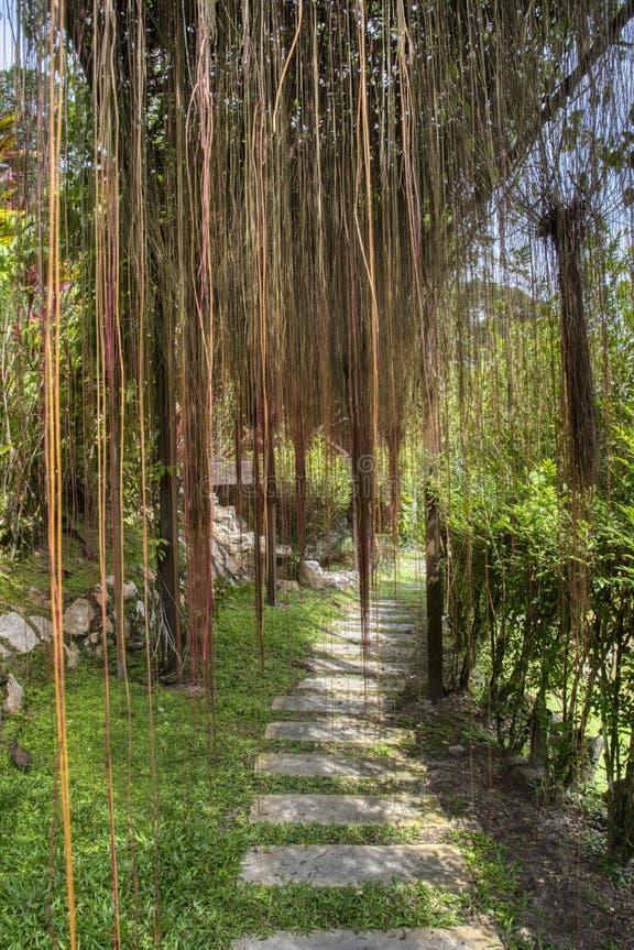Greenery Garden Walk Path Way To the Park Stock Photo - Image of ...