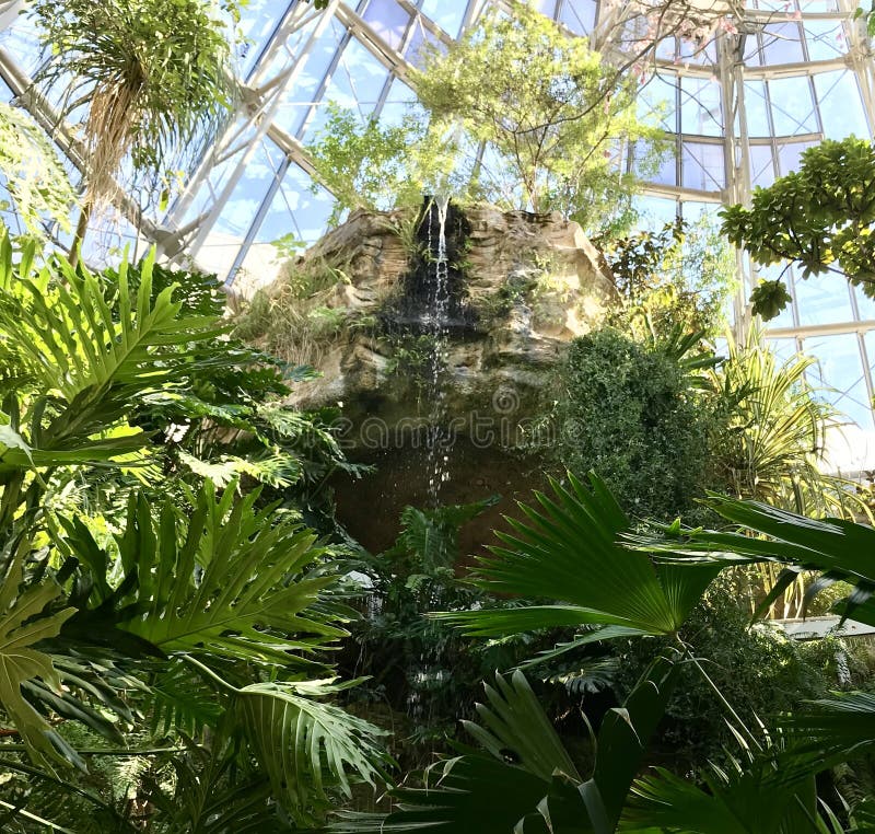 Greenery in Glass Enclosed Building with Bright Sunlight Stock Photo ...