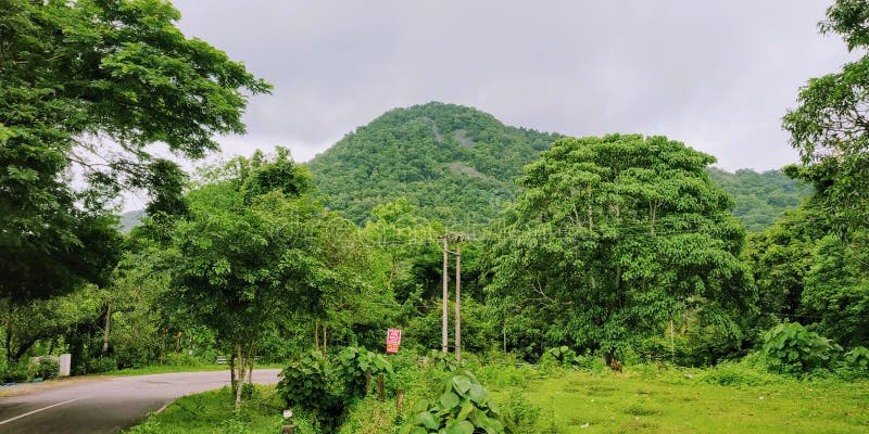 Greenery Hillside Valley Cloud Weather Editorial Photography - Image of ...