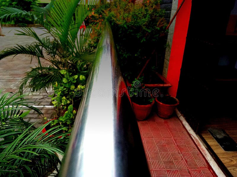 Greenery at home stock photo. Image of random, greenery - 73707908