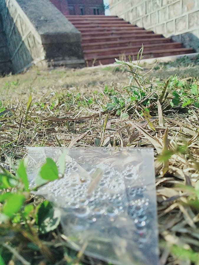 Greenery stock photo. Image of greenery, pakistan, islamabad - 168044024