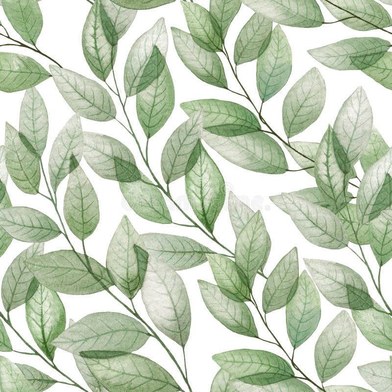 Greenery Leaves Seamless Pattern. Watercolor Botanical Background ...